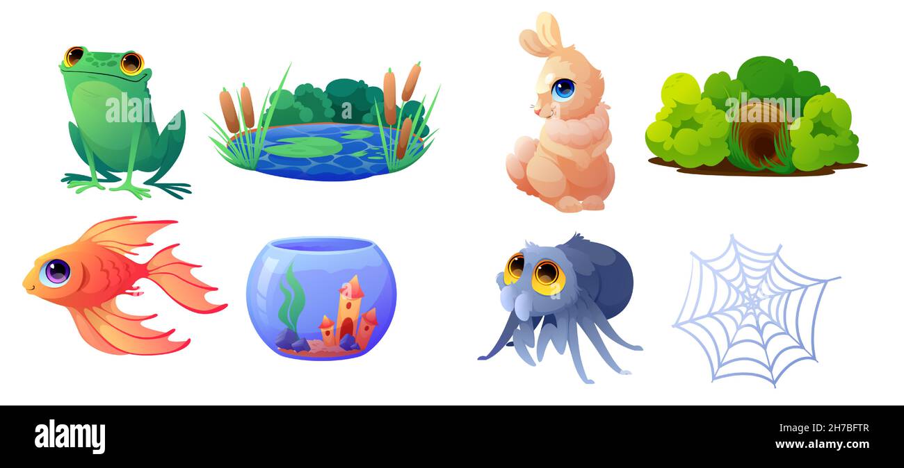 Animals with their habitats, spider and web, golden fish and aquarium ...
