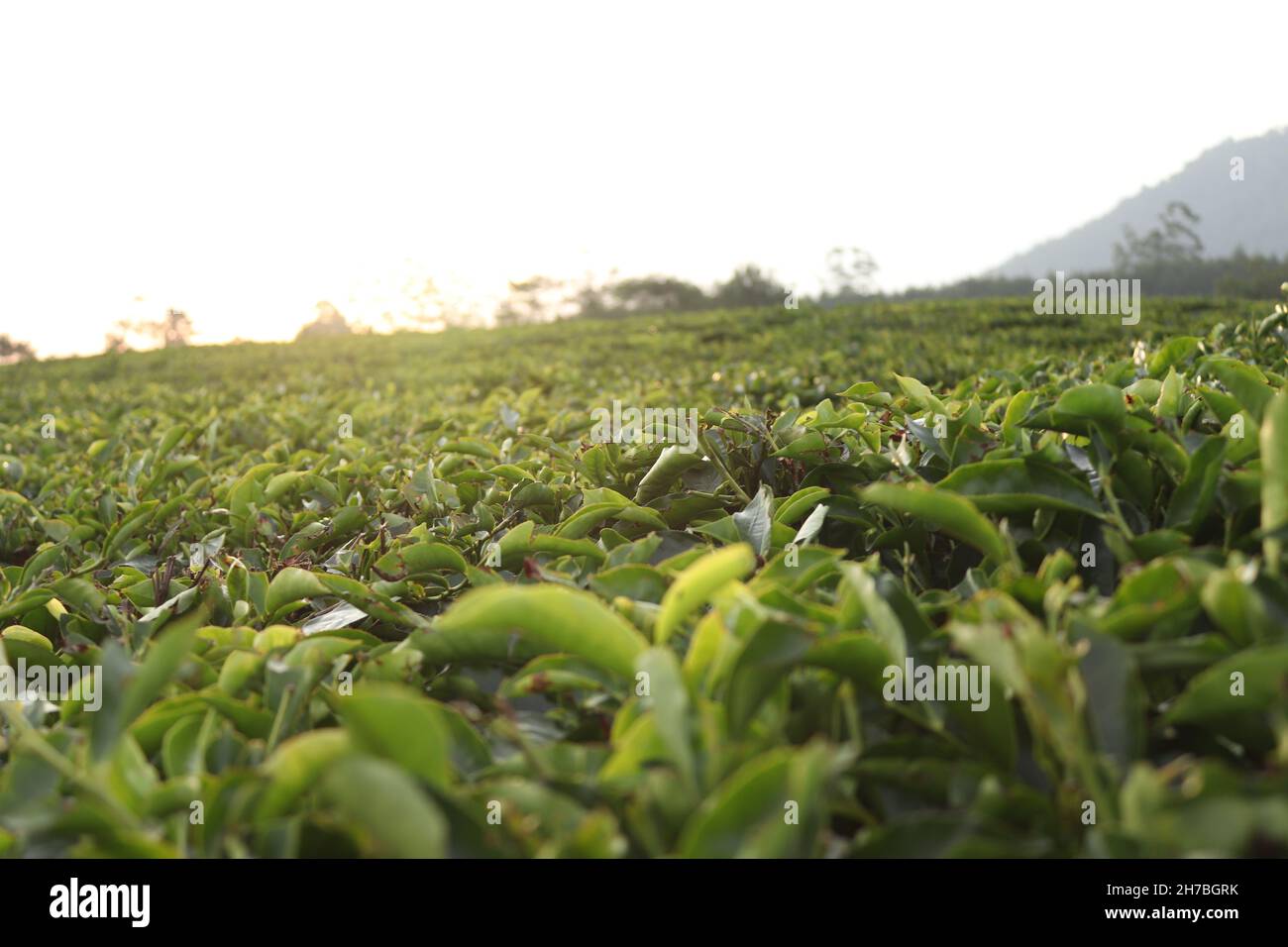 Trip in nature hi-res stock photography and images - Alamy