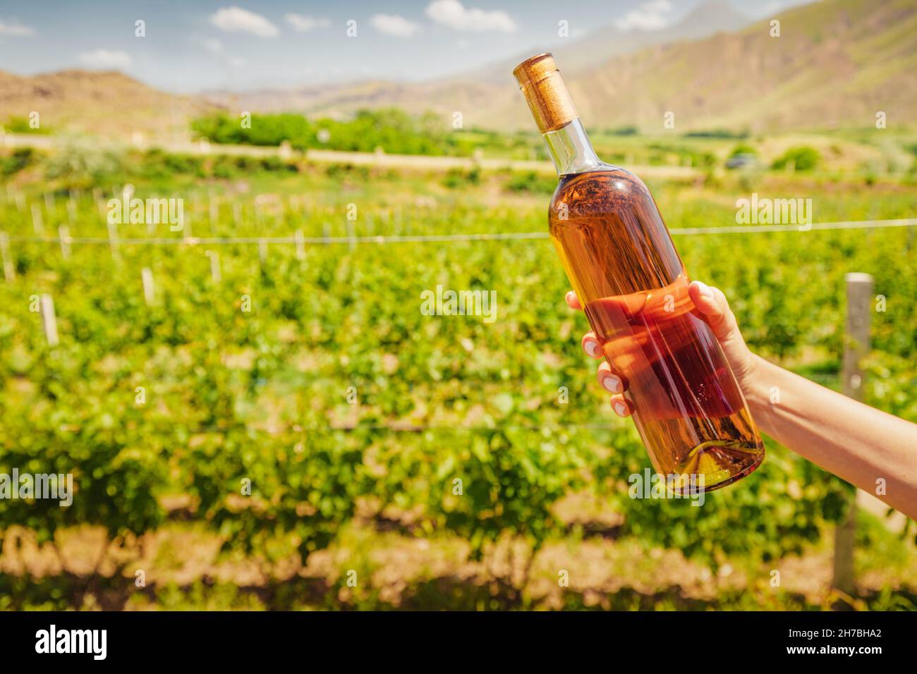 Aguardente hi-res stock photography and images - Alamy