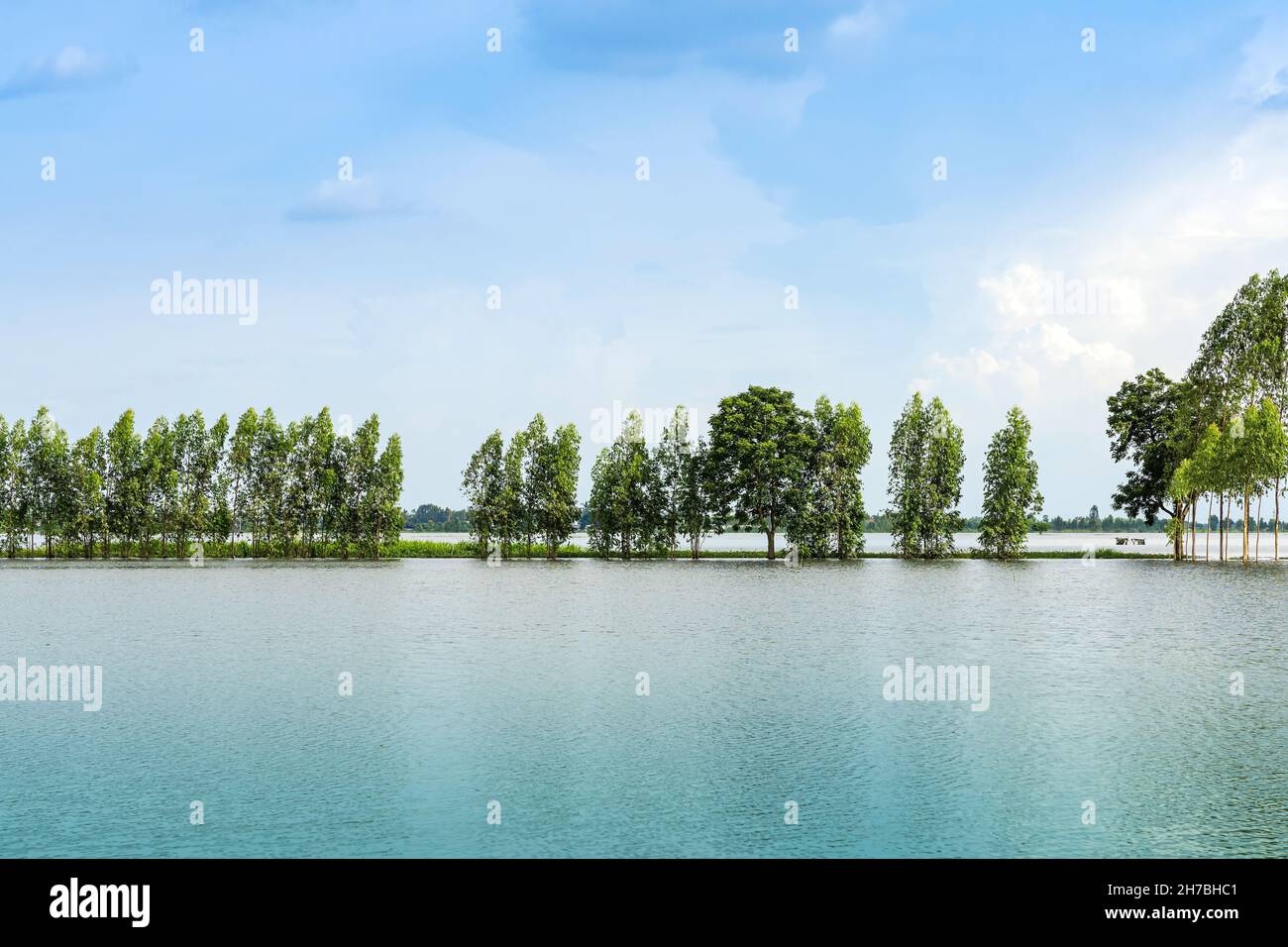 Scenic view of traditional flooded fields like a still lake on floating ...