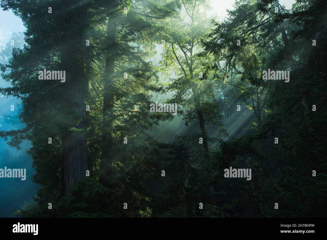 Fog rolling through hi-res stock photography and images - Alamy