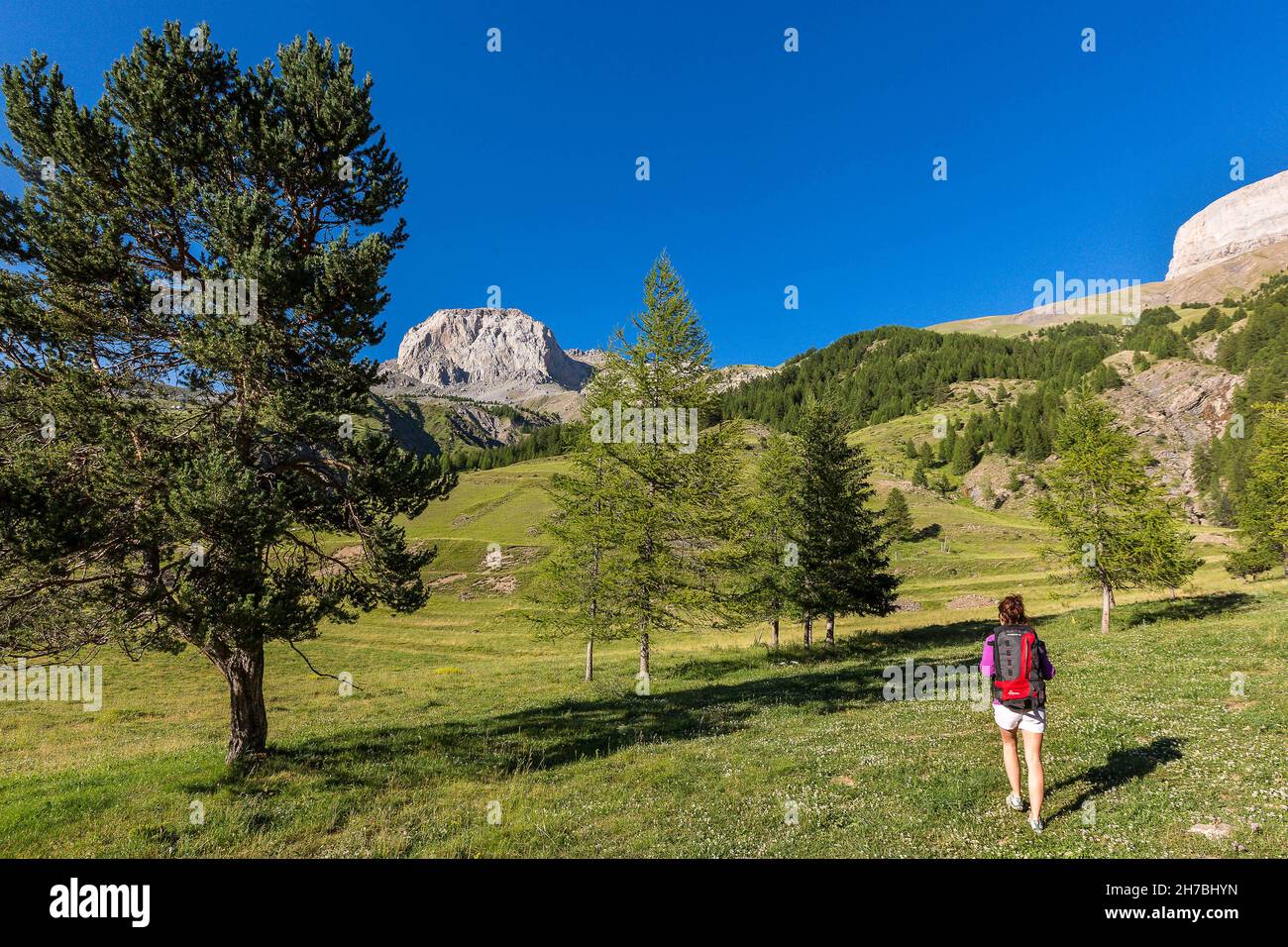 Petite seolane hi-res stock photography and images - Alamy