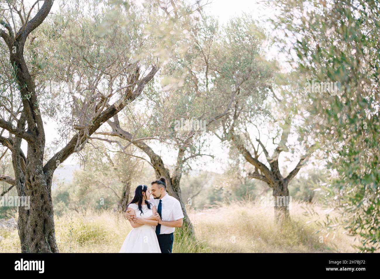 Man standing between two trees hi-res stock photography and images - Alamy