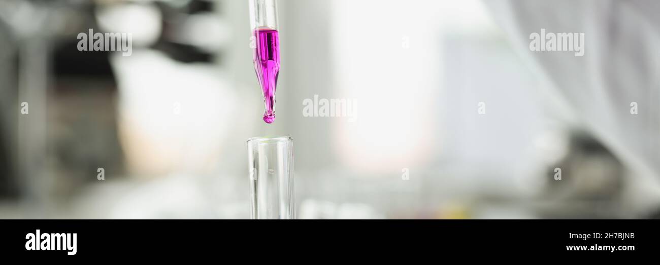 Scientist drops purple liquid from pipette into test tube Stock Photo ...
