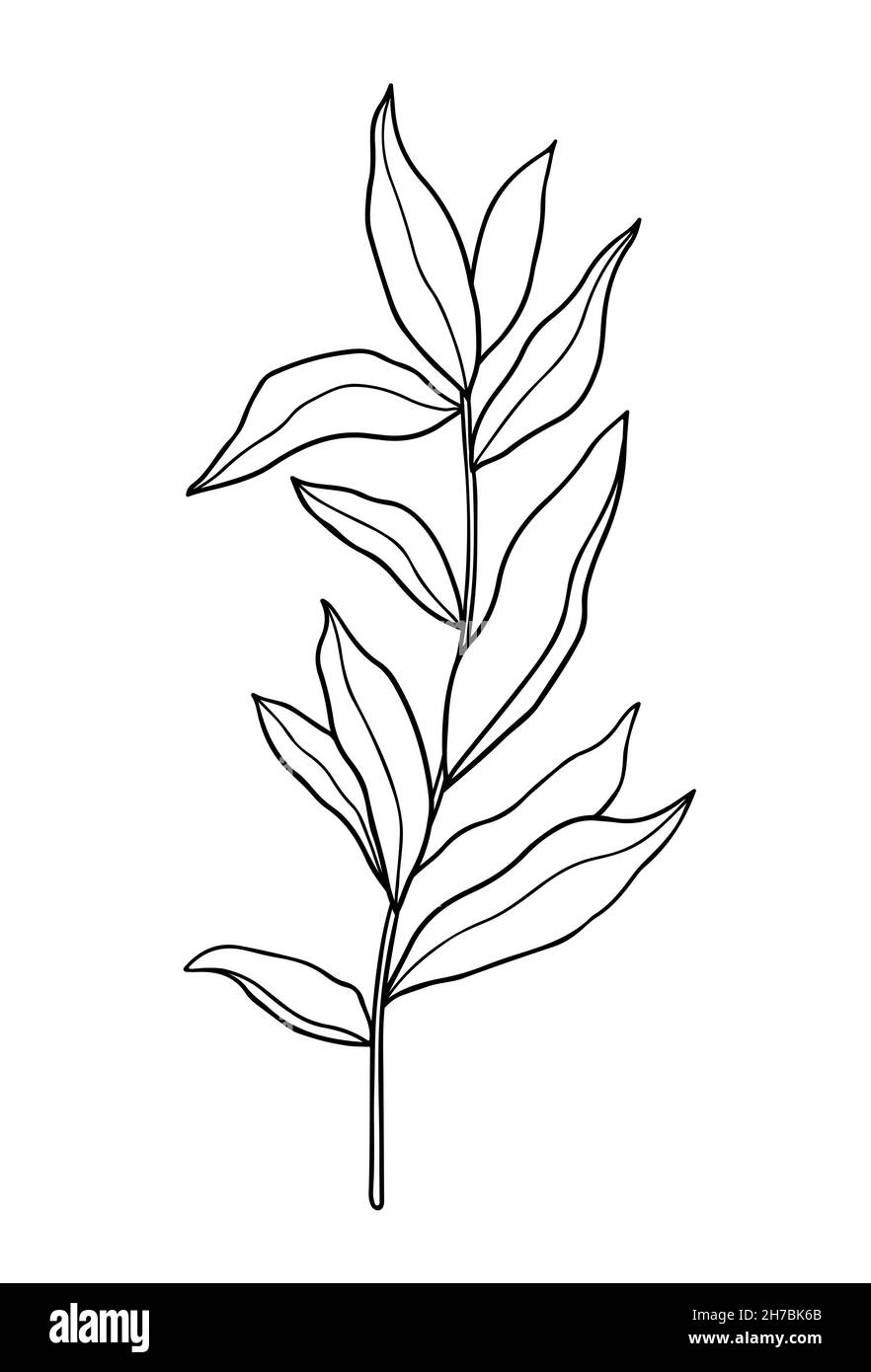 Abstract twig with leaves isolated on a white background. Vector hand ...