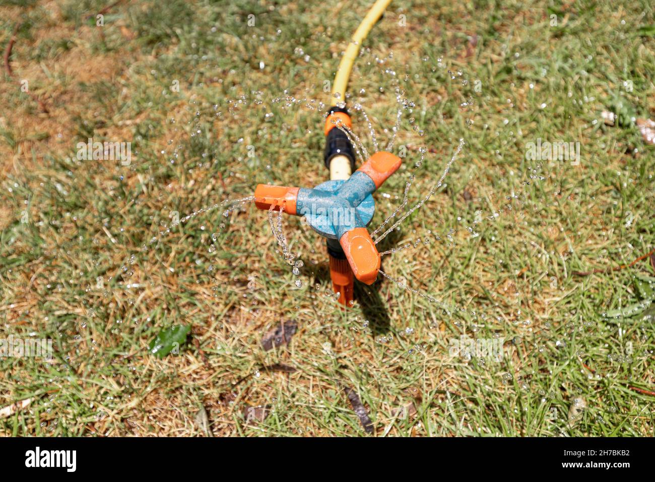 Modern sprinkler sprays water on the lawn in the park. Gardening and ...