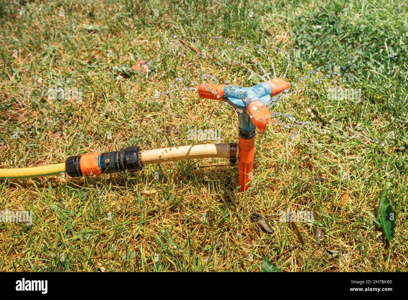 Modern sprinkler sprays water on the lawn in the park. Gardening and ...