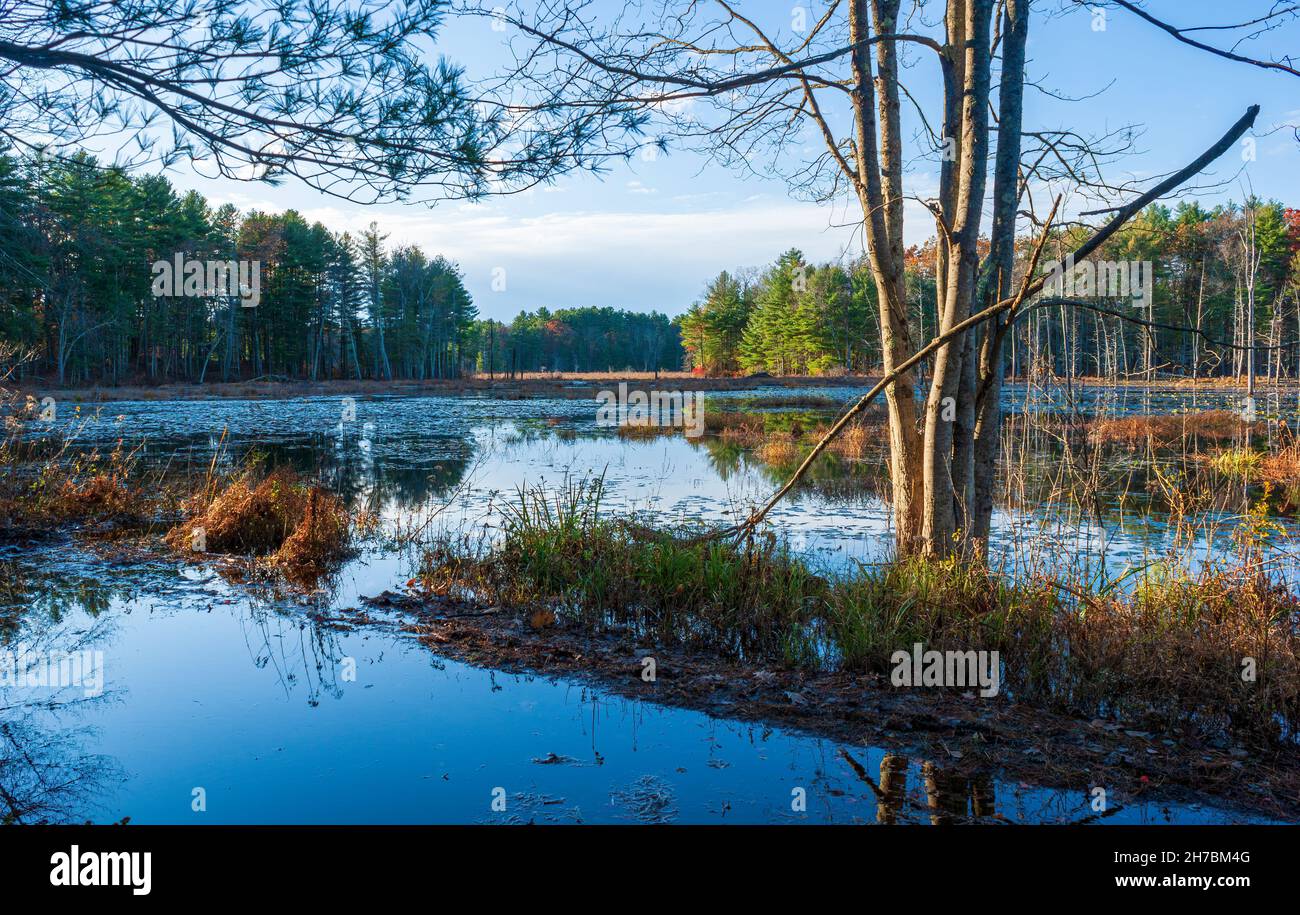 Overflow pond hi-res stock photography and images - Alamy