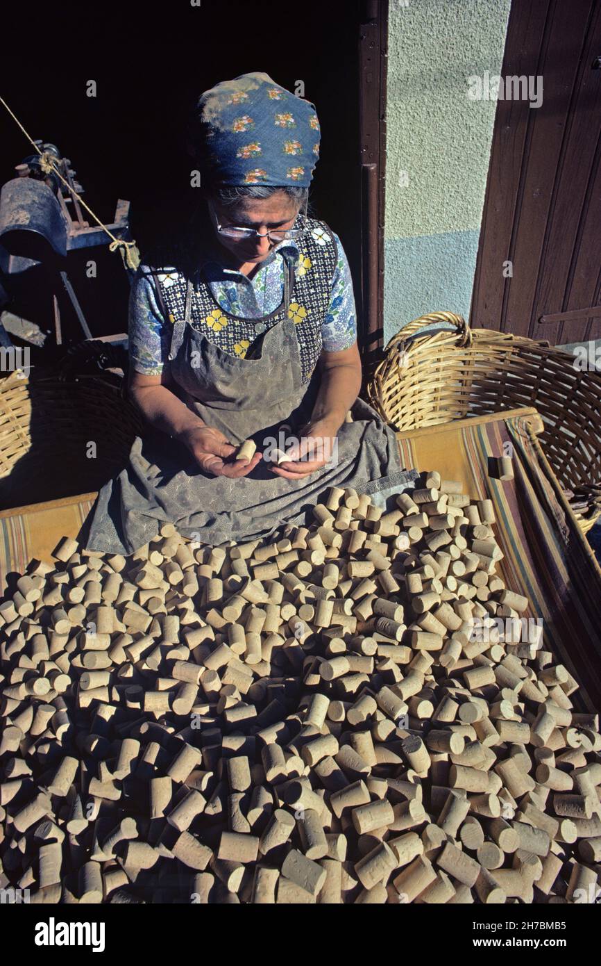 FRANCE. PYRENEES ORIENTALES (66). THE VALLESPIR. CERET. CORK ...