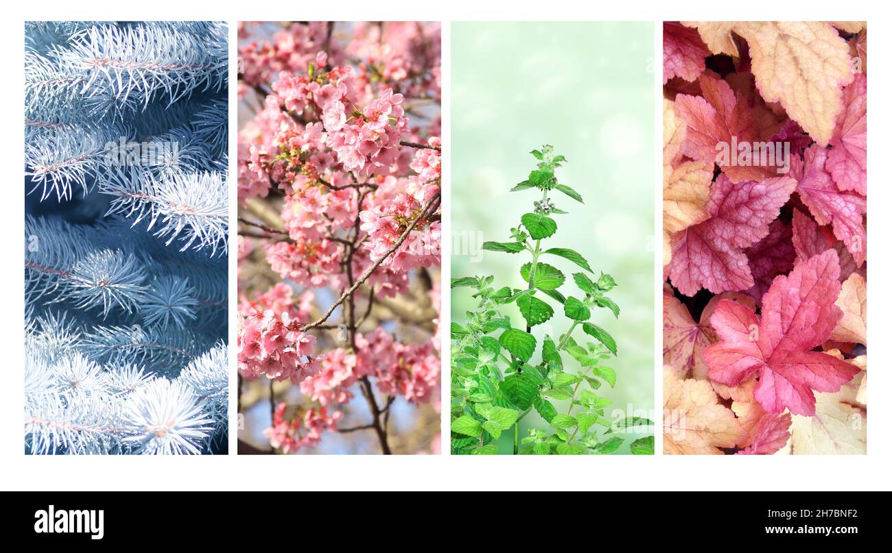Four seasons of year. Set of vertical nature banners with winter ...