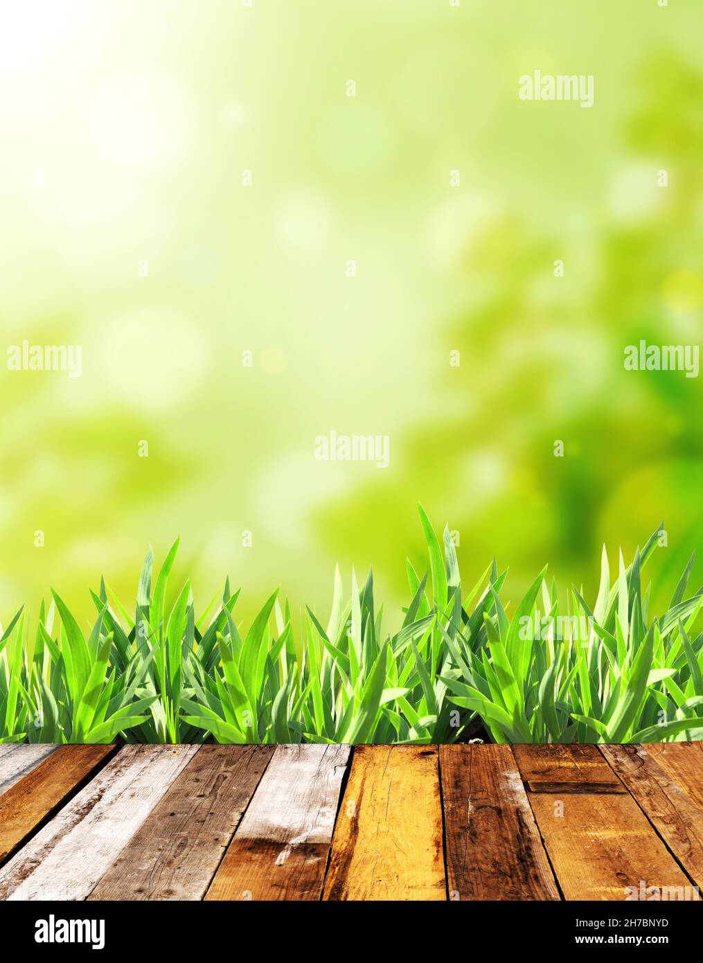 Summer grass and old wooden planks on green background. Empty wooden ...