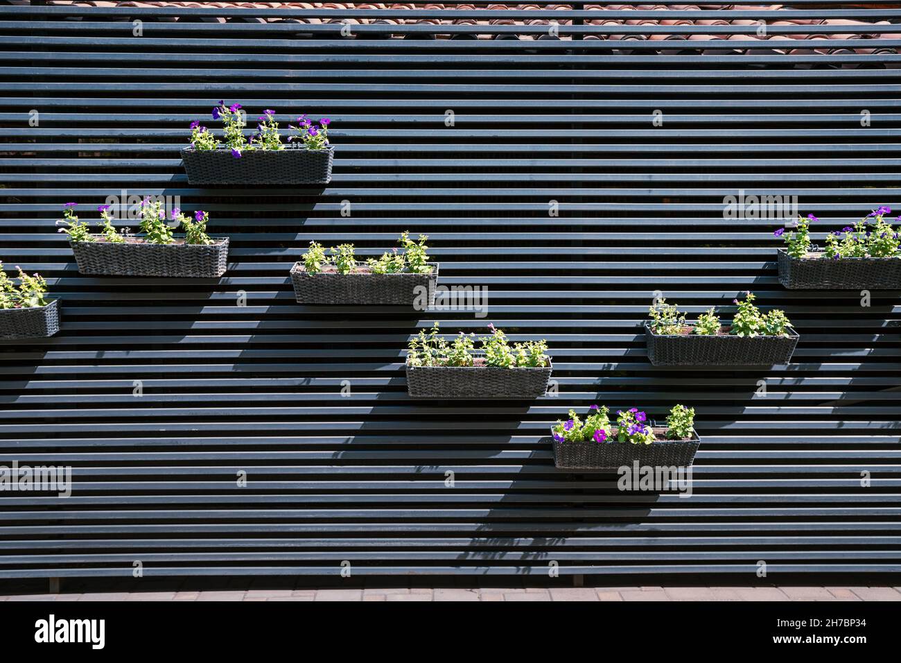 Decorative plants in flower pots on an industrial dark metal wall Stock Photo - Alamy