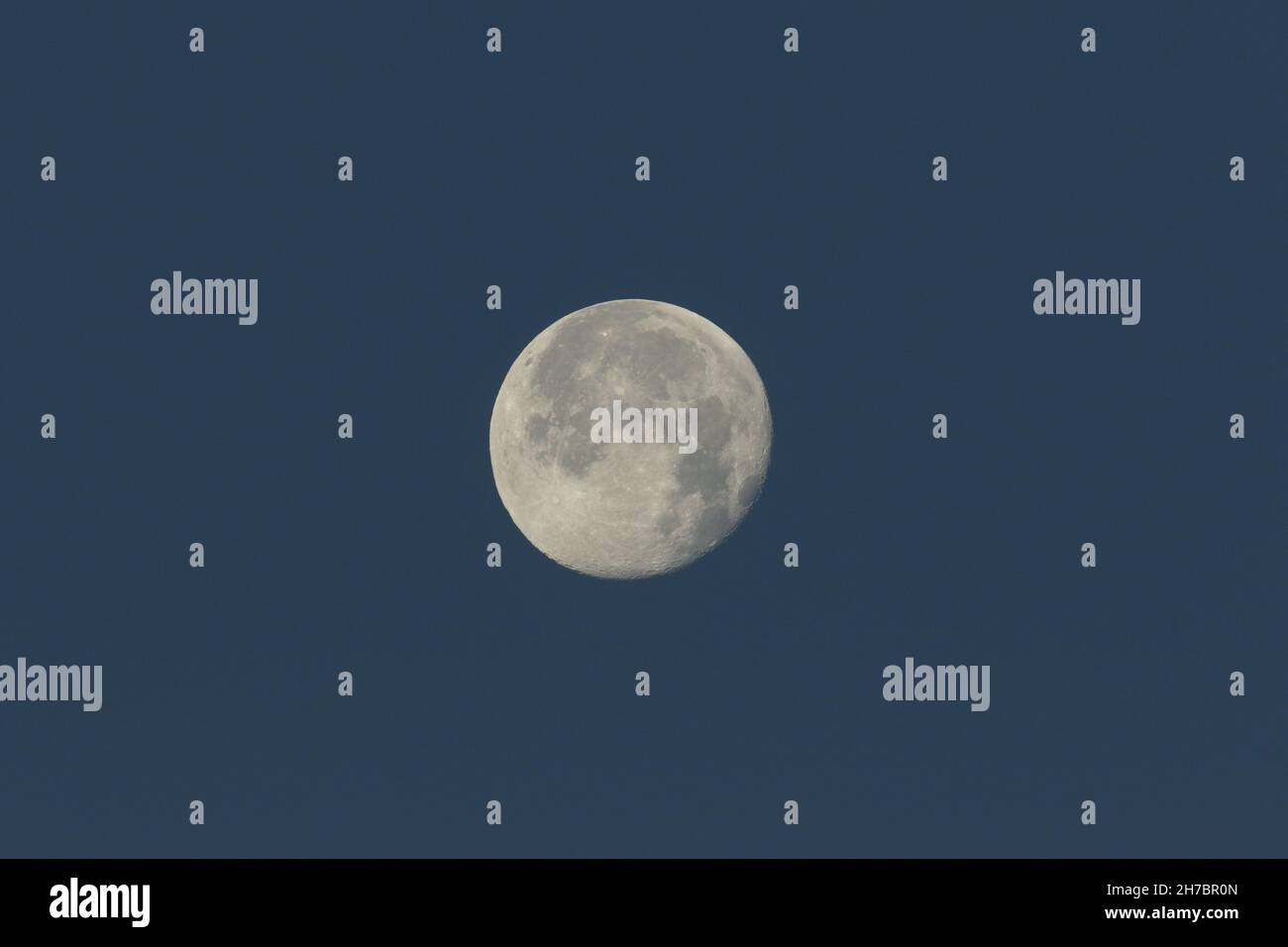 The Full Beaver Moon of November 2021 as seen from Dorset Stock Photo ...