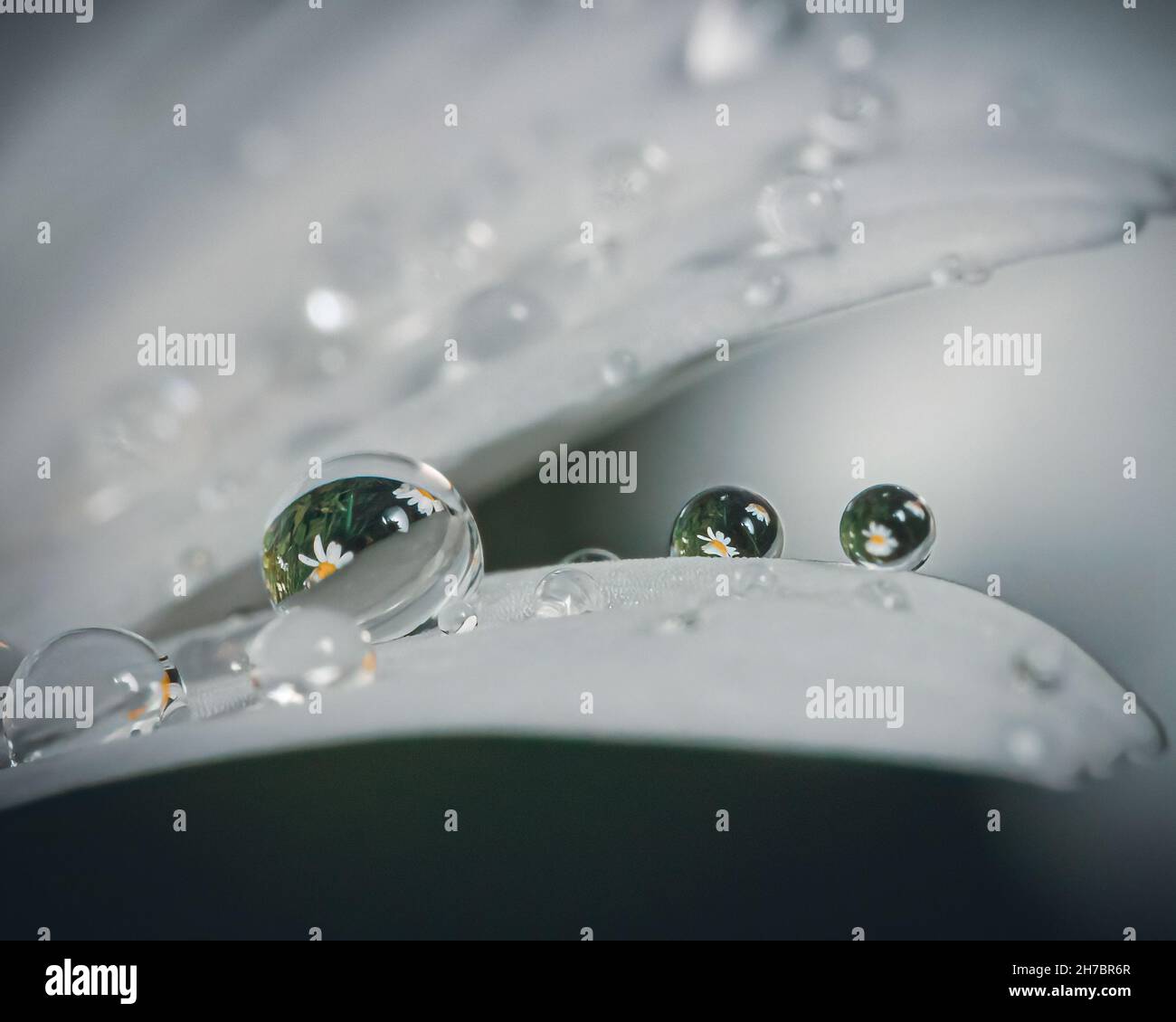 Beautiful sprinkle background High Resolution Stock Photography and ...