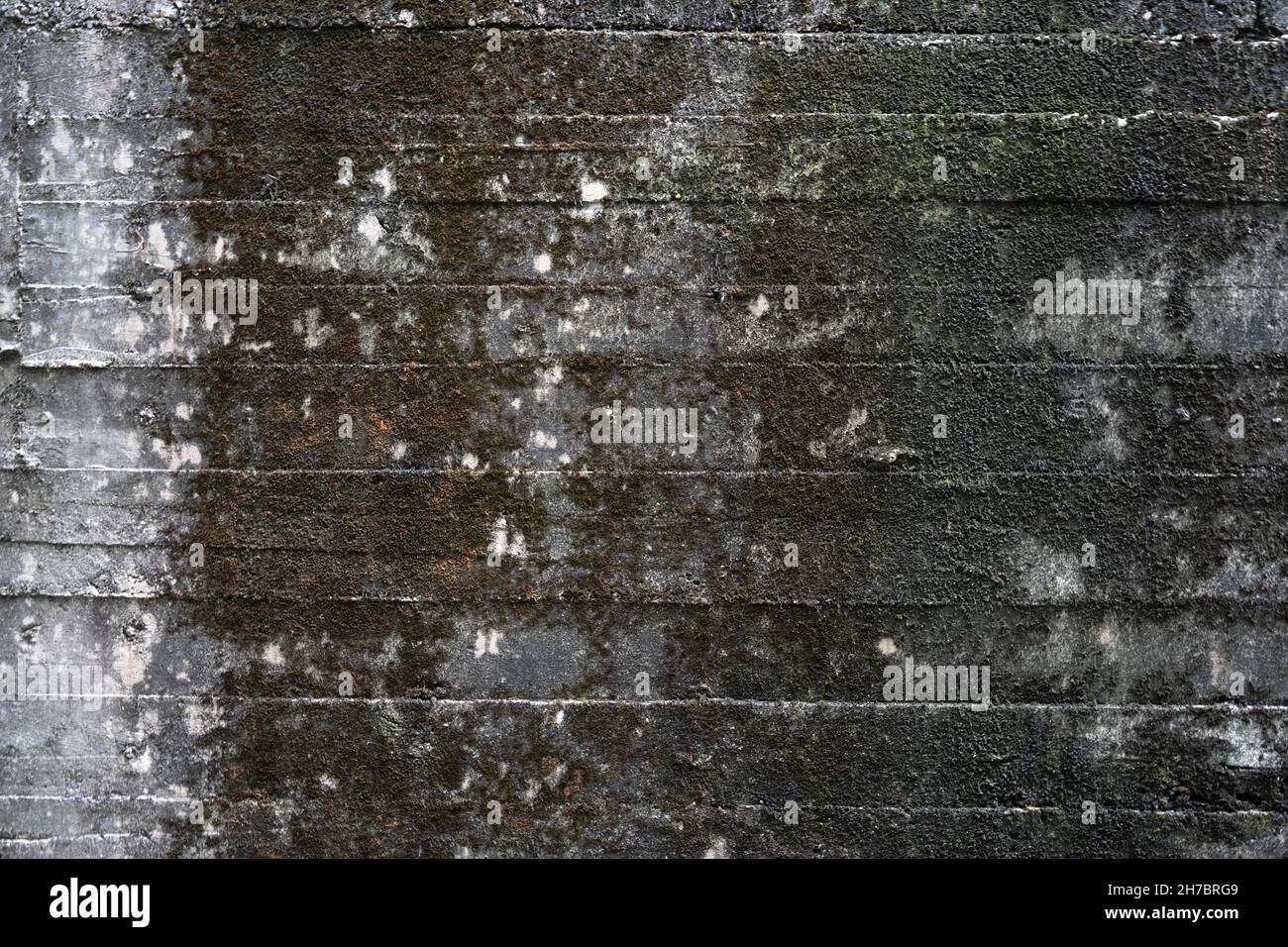 Texture of old, gray world war 2 bunker wall in high resolution Stock ...