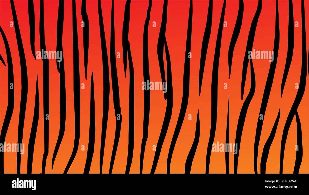 Vector seamless pattern of black tiger stripes isolated on orange ...