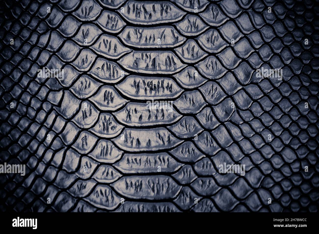 close up of snake skin texture use for background Stock Photo - Alamy