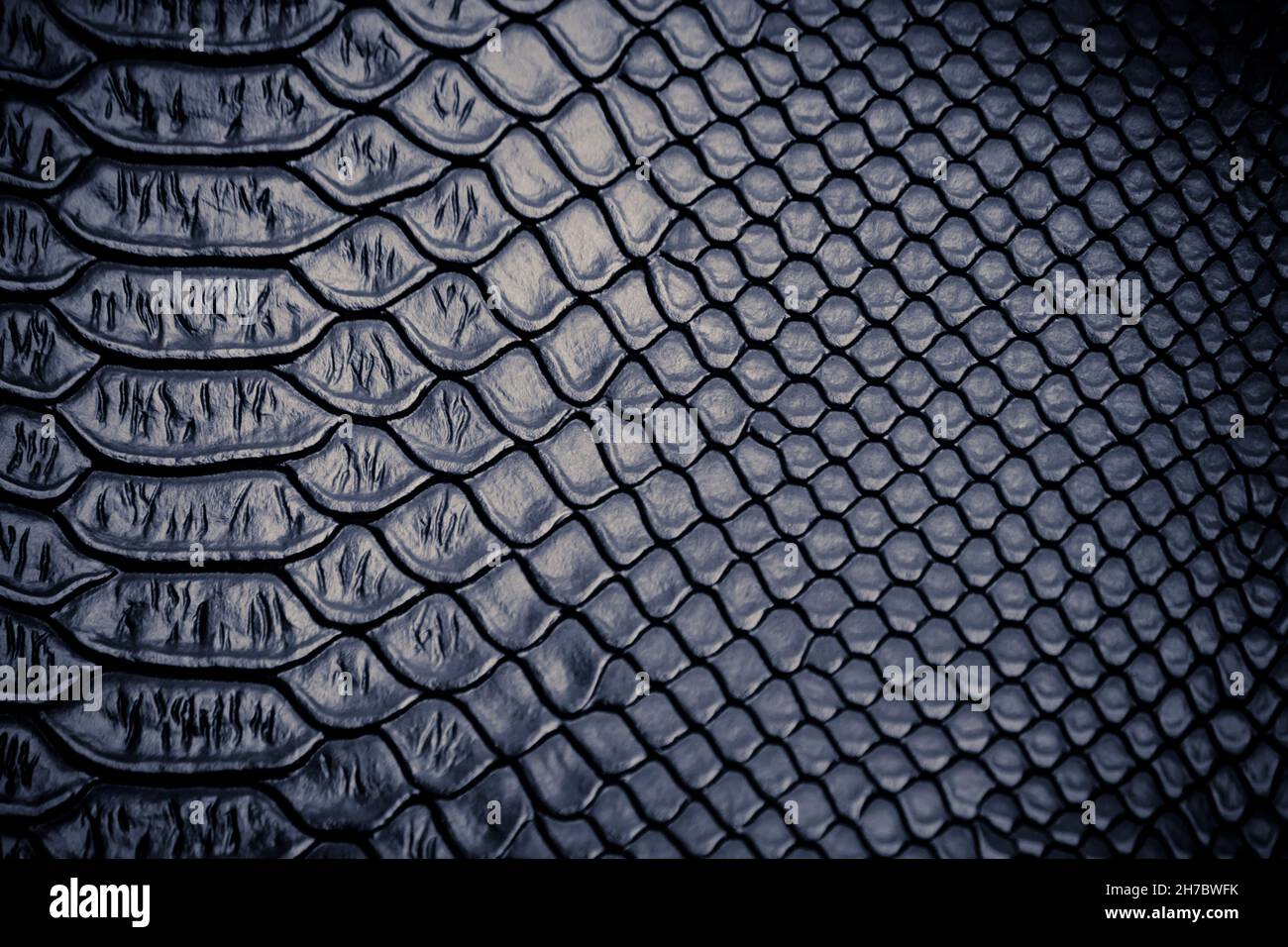 close up of snake skin texture use for background Stock Photo - Alamy