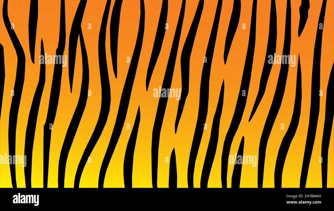 Vector seamless pattern of black tiger stripes isolated on orange ...