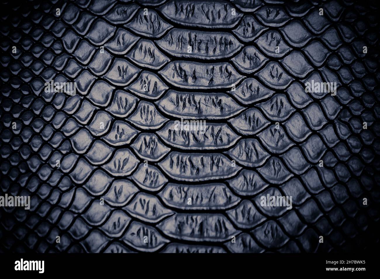 close up of snake skin texture use for background Stock Photo - Alamy