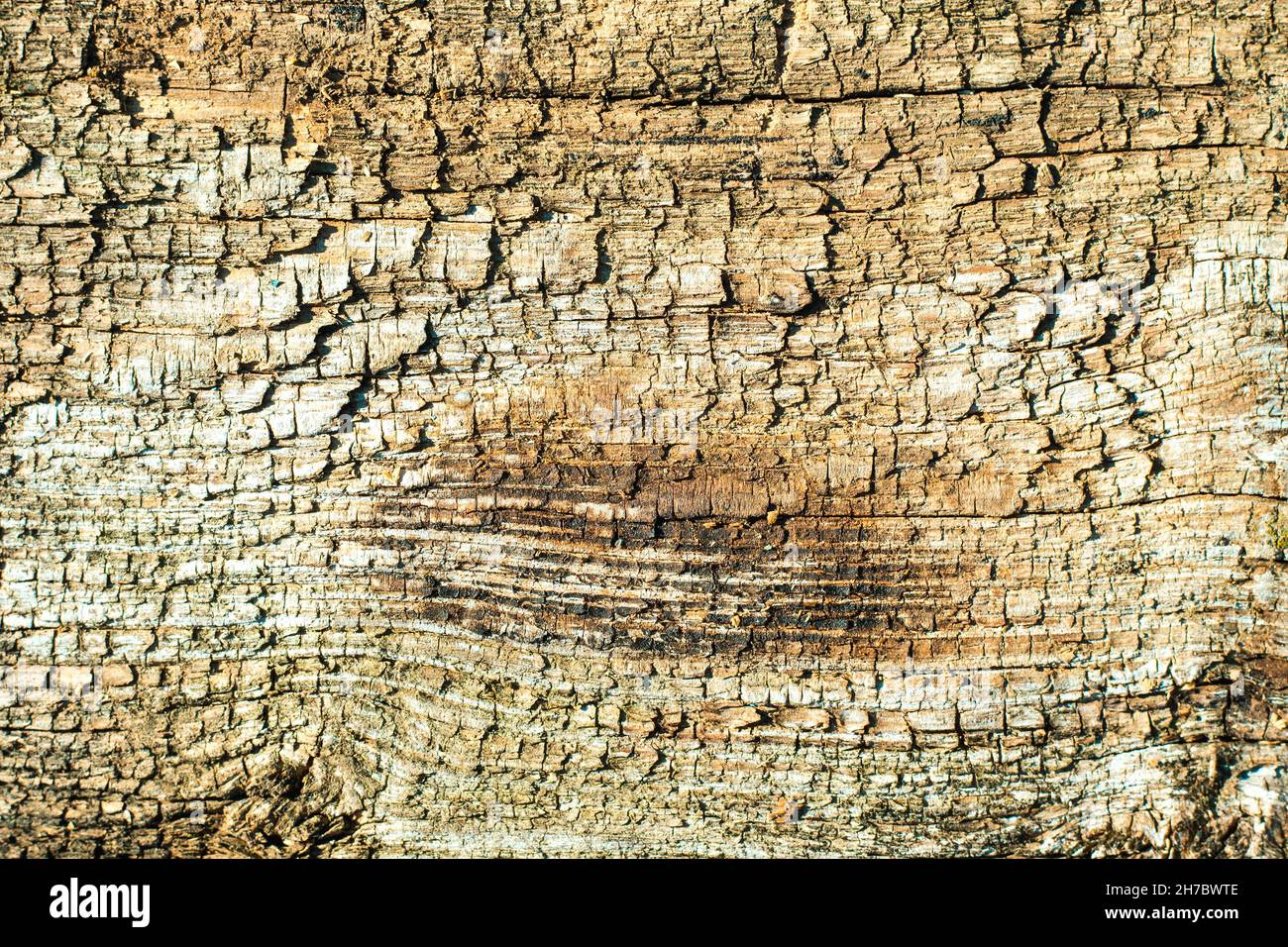 Natural wood texture background. Abstract wallpaper Stock Photo - Alamy