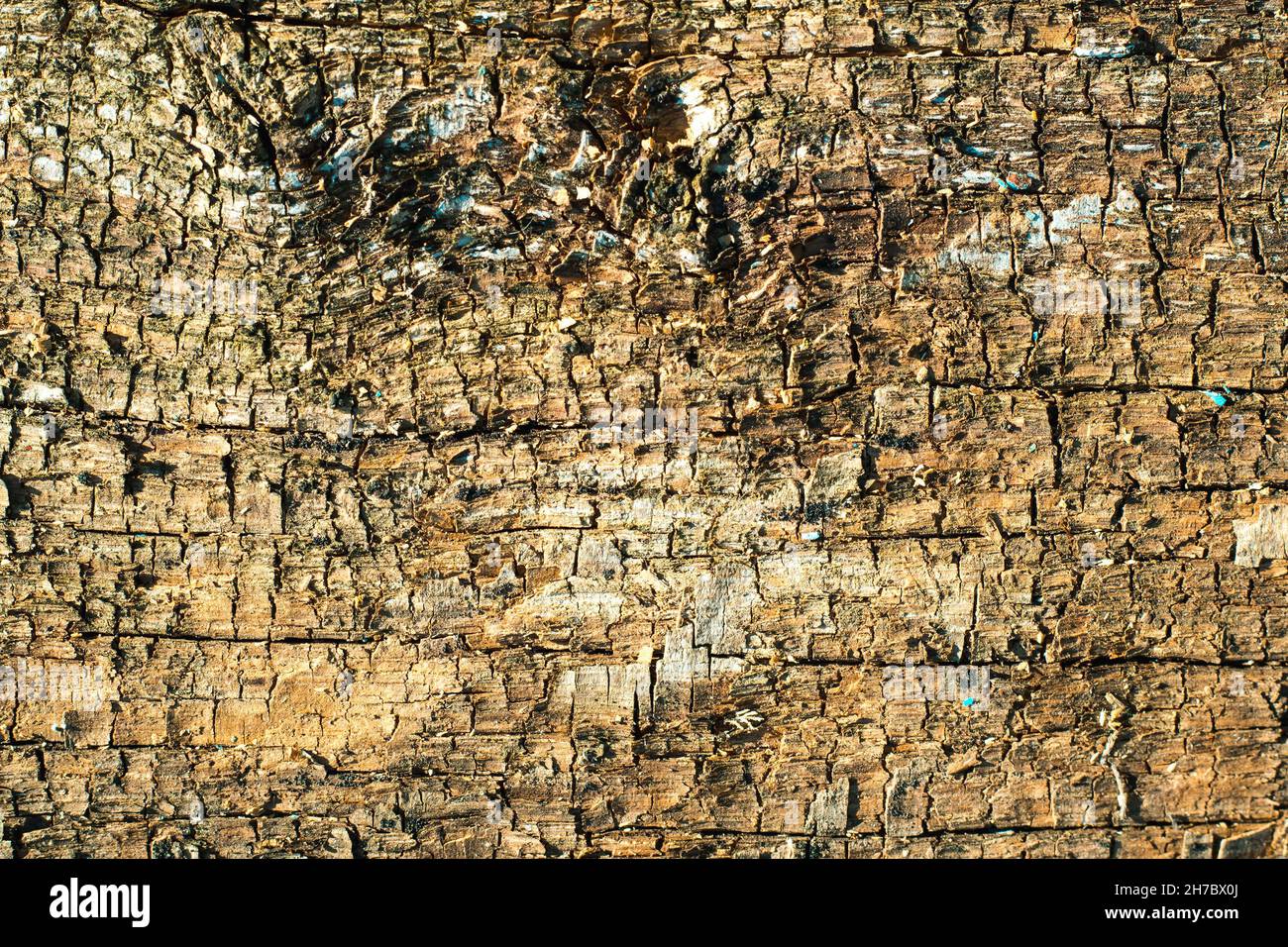 Grungy wood texture, macro. Abstract wallpaper Stock Photo - Alamy