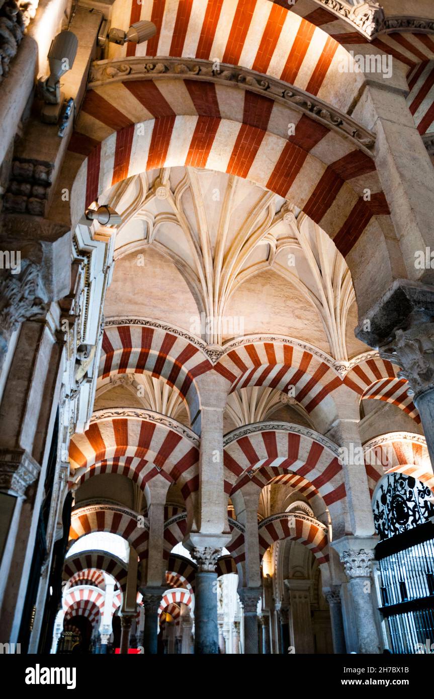 Striped voussoirs and double-tiered arches of the Great Mosque of ...