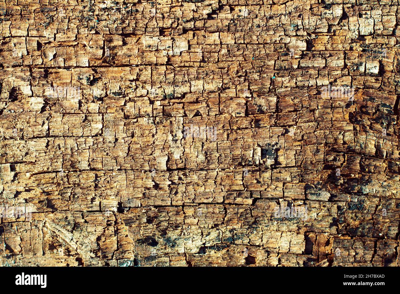 Natural wood texture background. Abstract wallpaper Stock Photo - Alamy