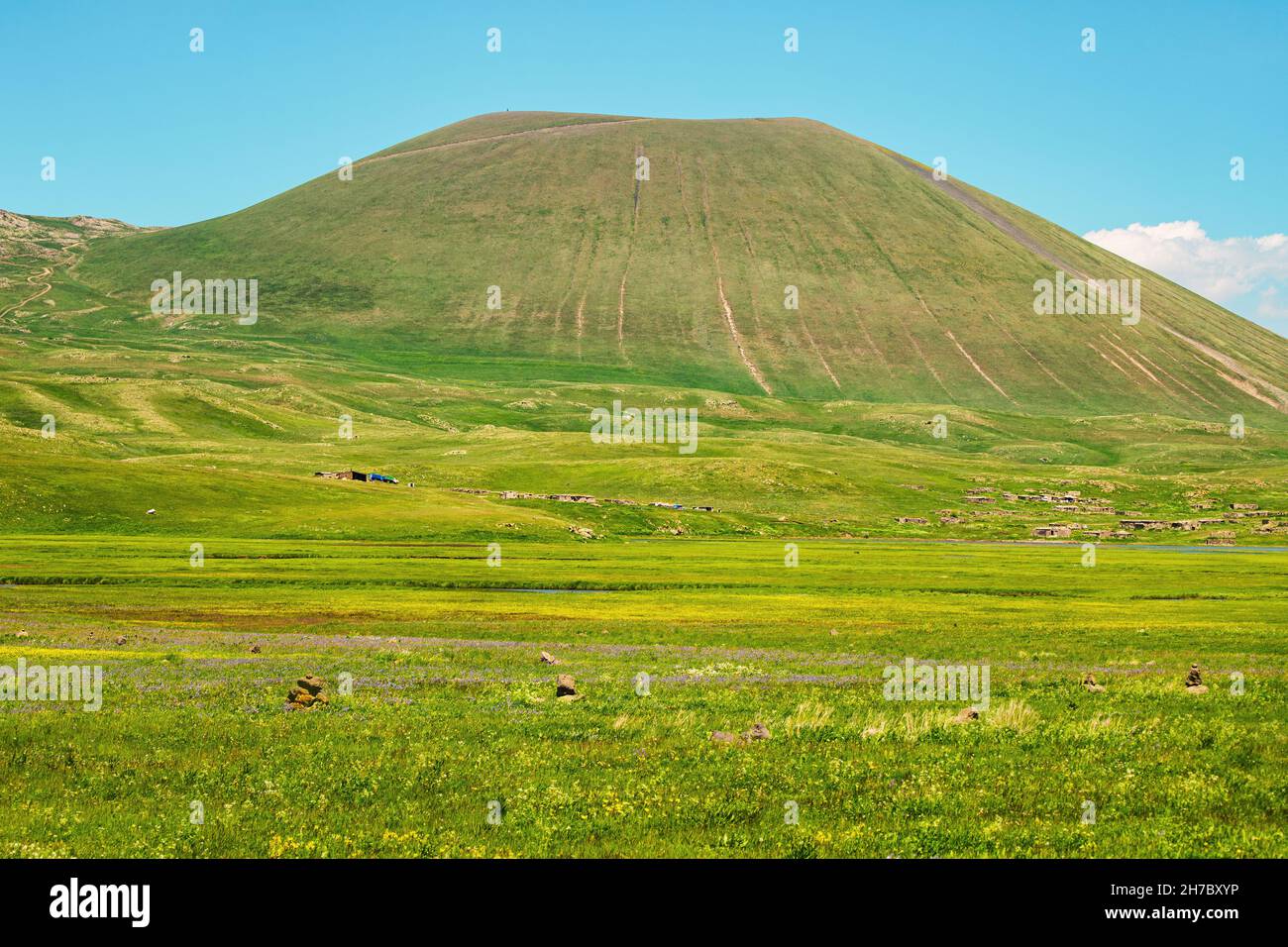 an extinct volcano or a hill covered with lush grass as a vast pasture ...