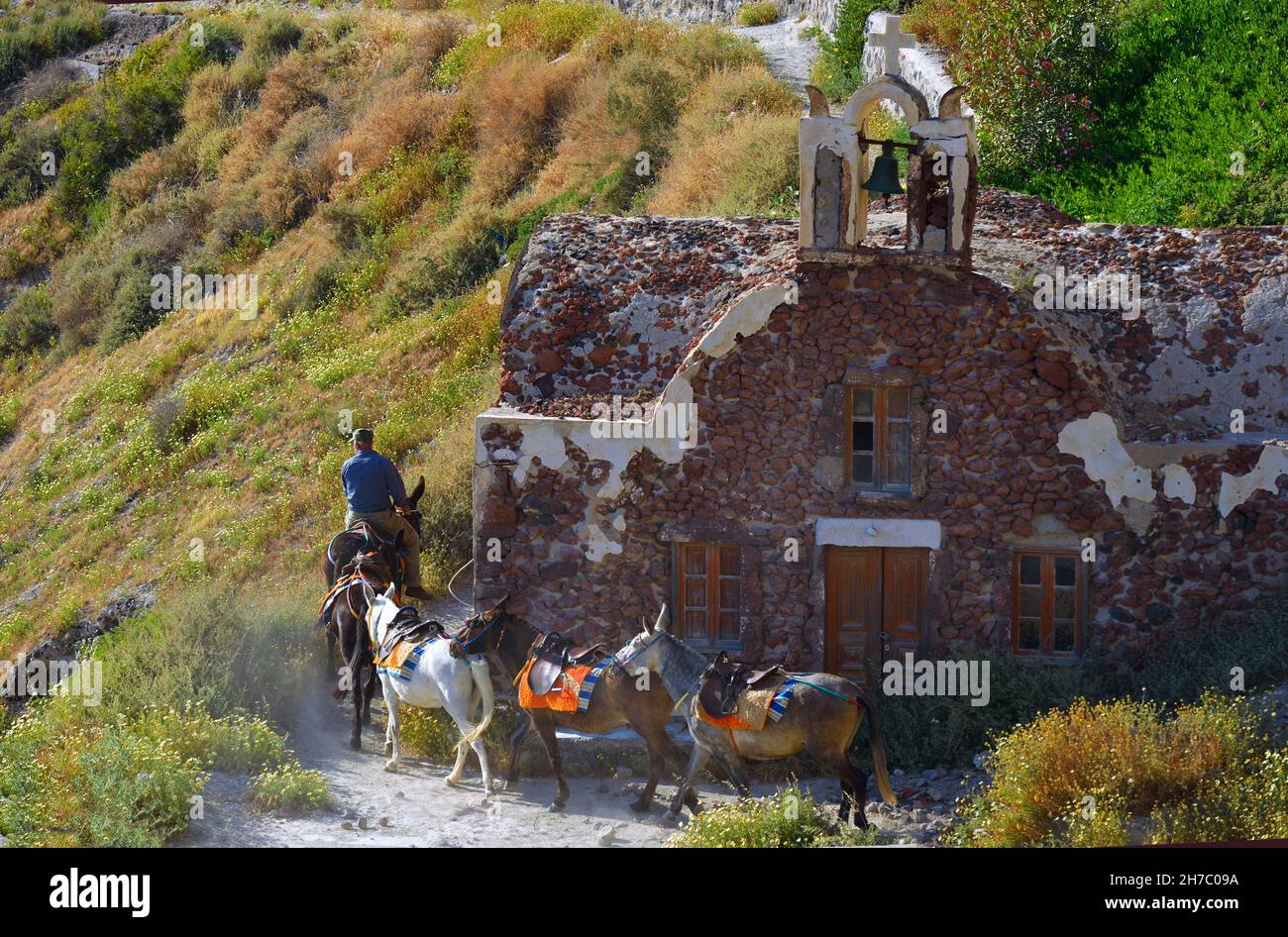 GREECE, CYCLADES ISLANDS, SANTORIN, MULE TRACK IN OIA VILLAGE Stock ...