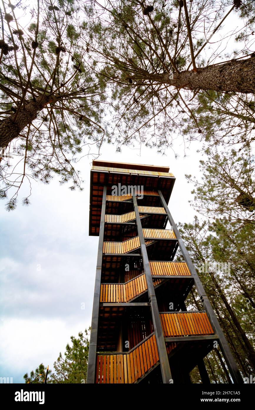 Birdwatching Tower. Bird watching observation tower in the forest ...