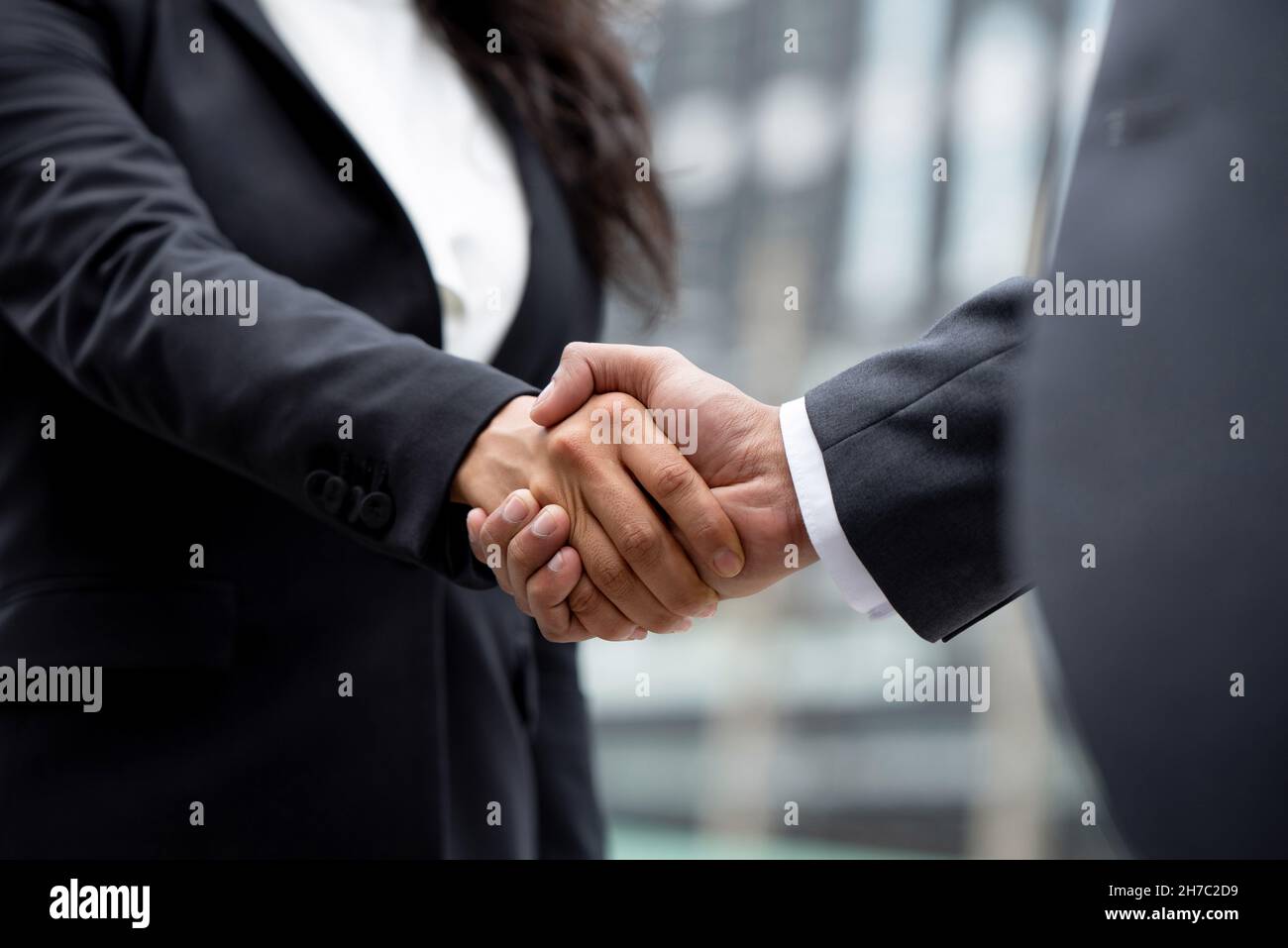 Businesswoman in formal attire making handshake with business partner ...