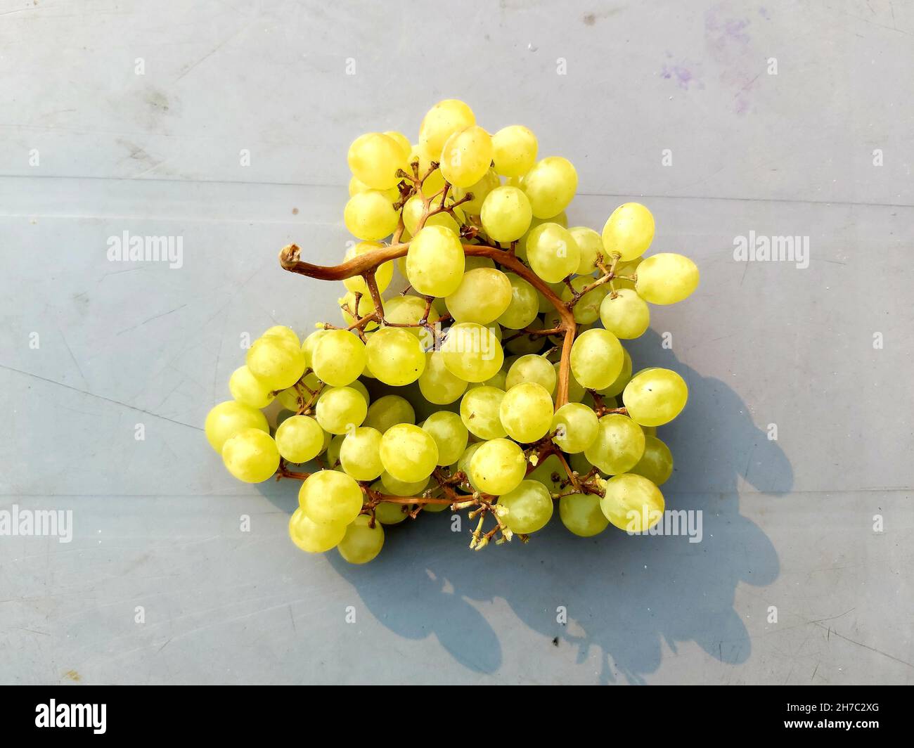 Diamond leaf berry hi-res stock photography and images - Alamy