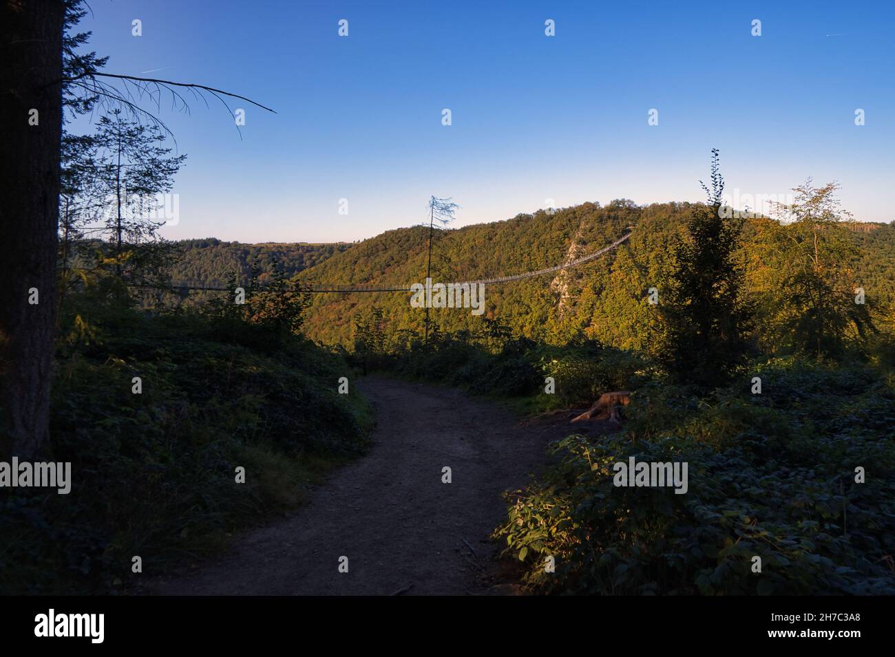 View of the landscape from the Geierlay suspension bridge. Beautiful ...