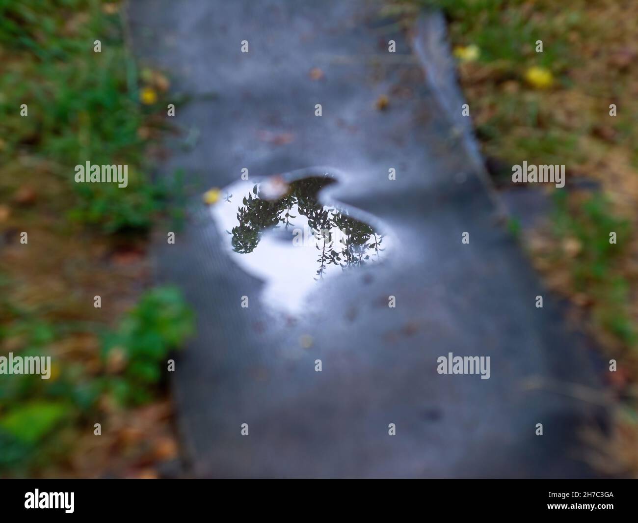Beautiful reflection in puddle outside hi-res stock photography and ...