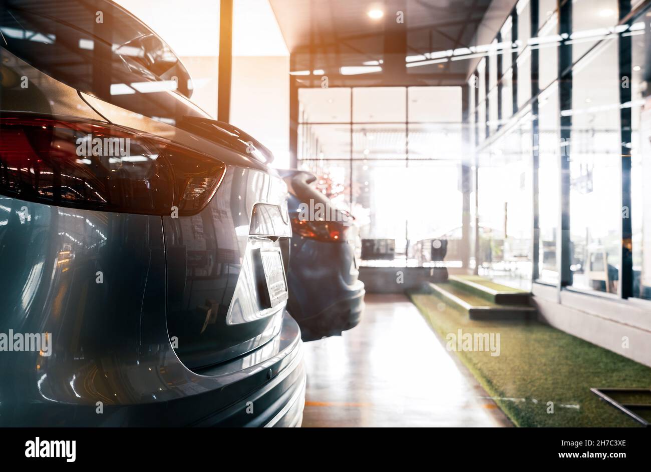 Closeup back view of grey car parked in luxury showroom. Car dealership ...
