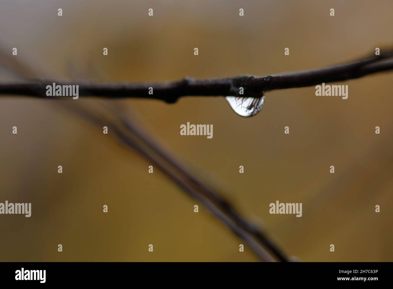 The drop scene hi-res stock photography and images - Alamy
