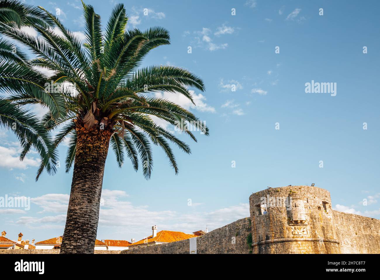 Budva Citadel fortress and palm tree in Budva, Montenegro Stock Photo ...