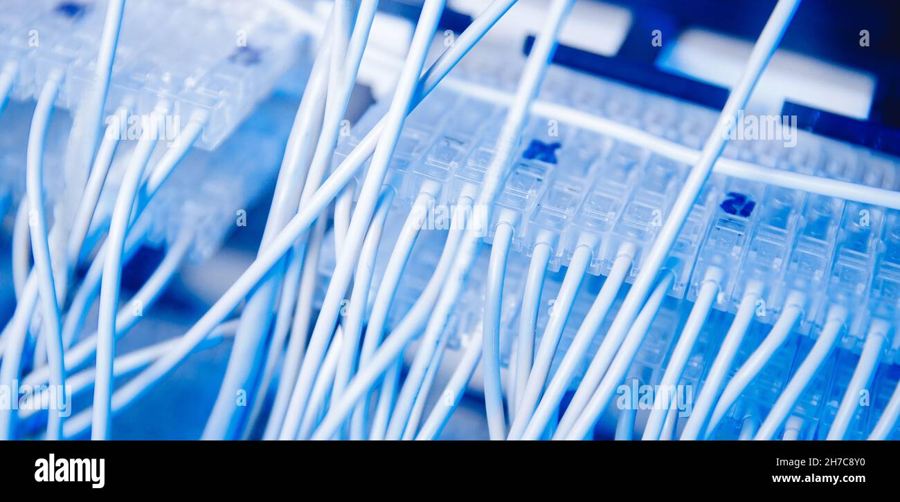 Concept internet data center blue background. Banner fiber ethernet ...