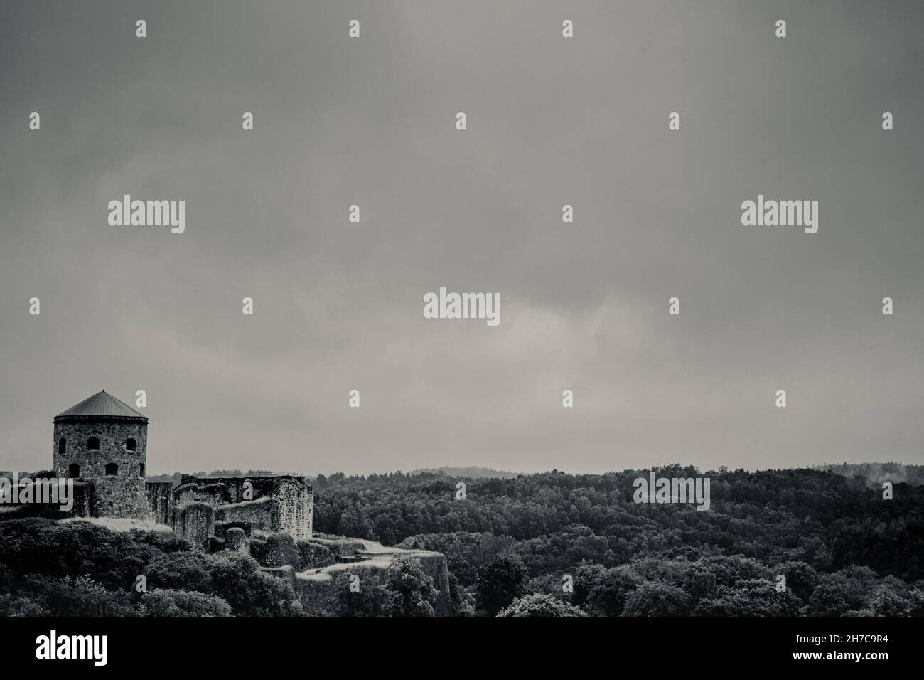 Grayscale shot of an old castle in the middle of dense forest, Sweden ...