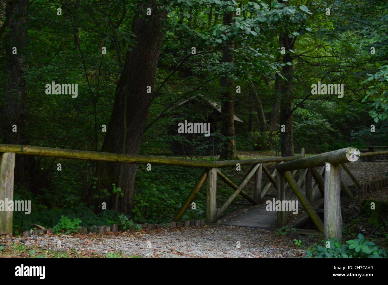 Old wooden bridge through hi-res stock photography and images - Alamy