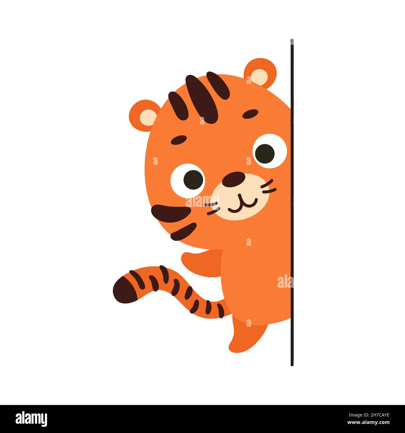 Cute little tiger peeking around the corner on white background ...