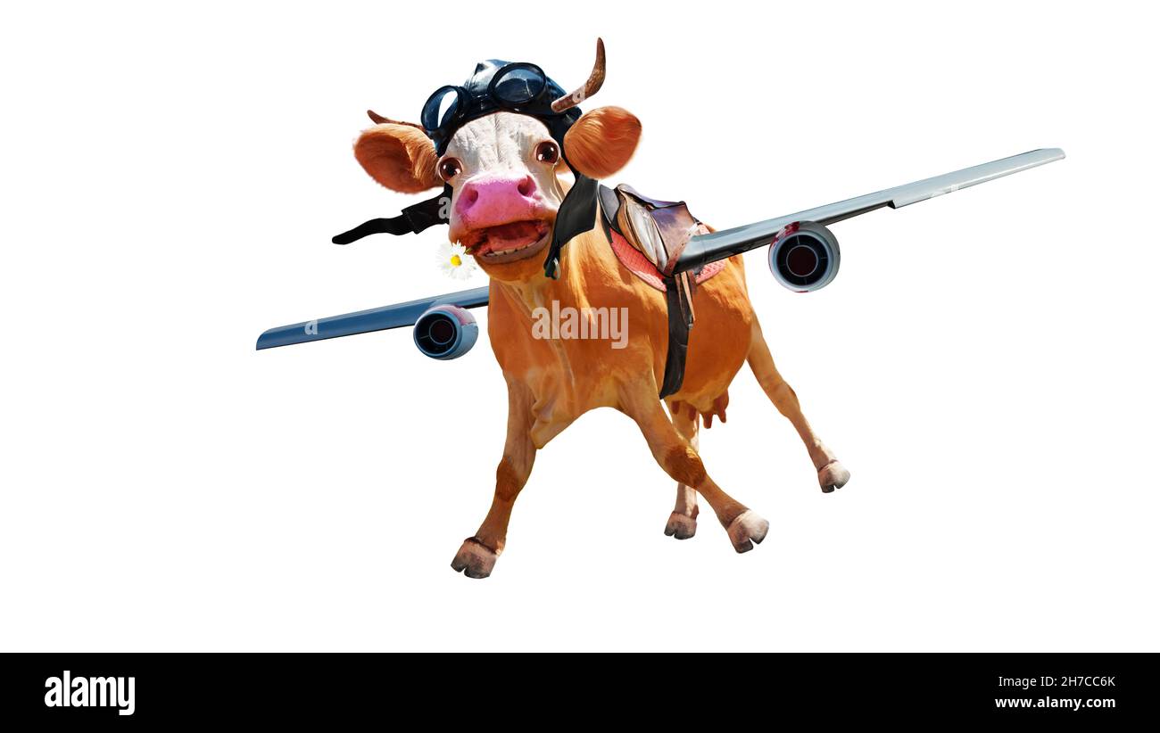 Vacation cow Cut Out Stock Images & Pictures - Alamy