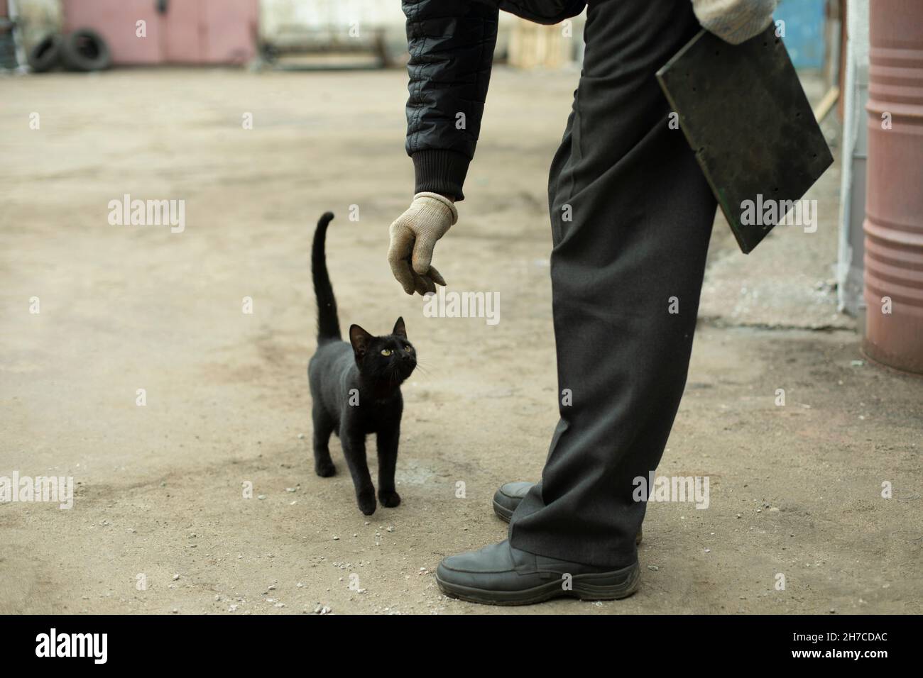 A black cat near the man's feet. A man strokes a cat on the street. A ...