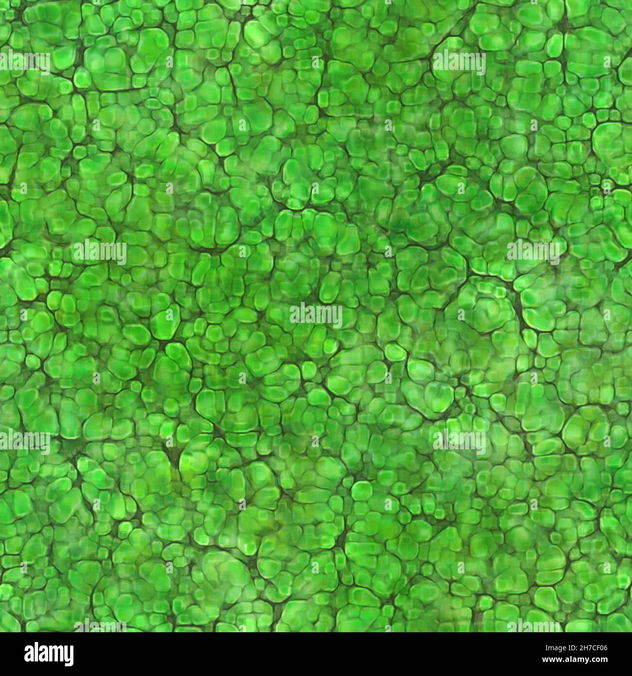 Cartoon seamless texture of color fantasy cobble stone ground pavement ...