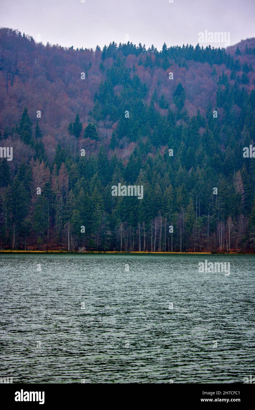 St. Ana's lake, Transylvania, Romania. Stunning autumn scenery with ...
