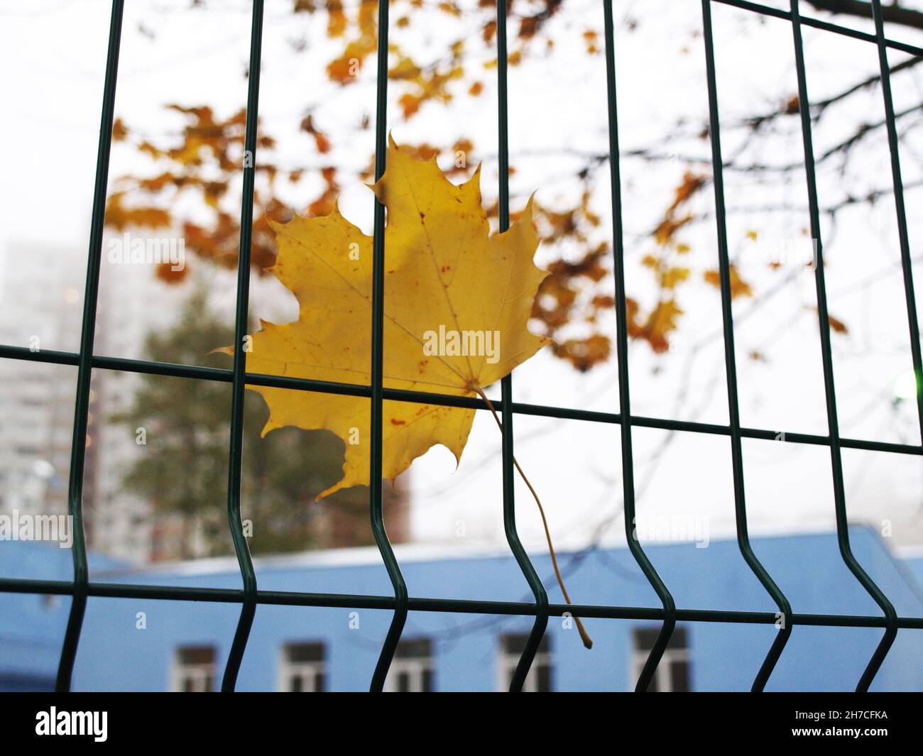 Fence designer hi-res stock photography and images - Alamy