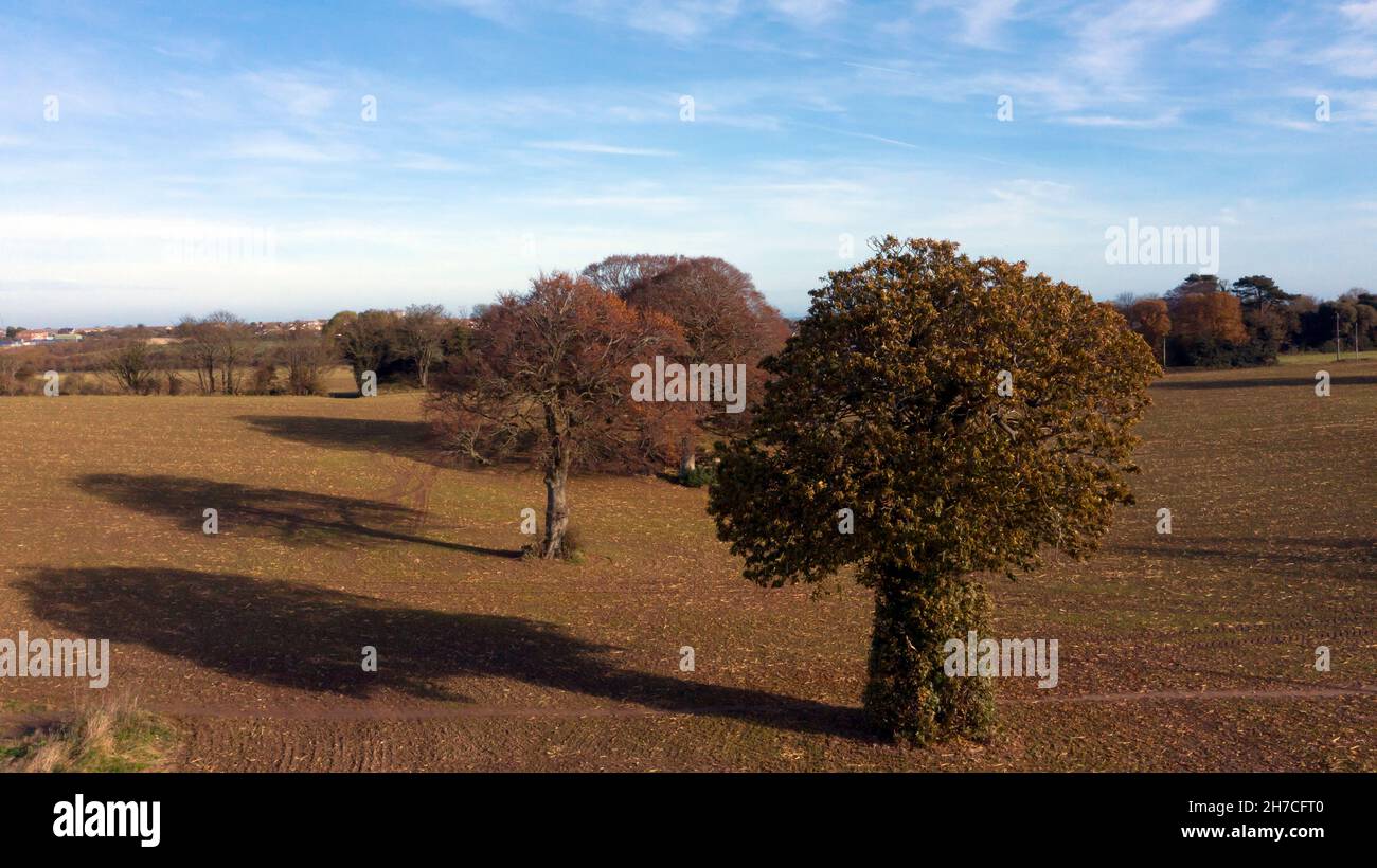 Low-level, aerial view of a field on Coldblow Farm, Ripple, Kent Stock ...