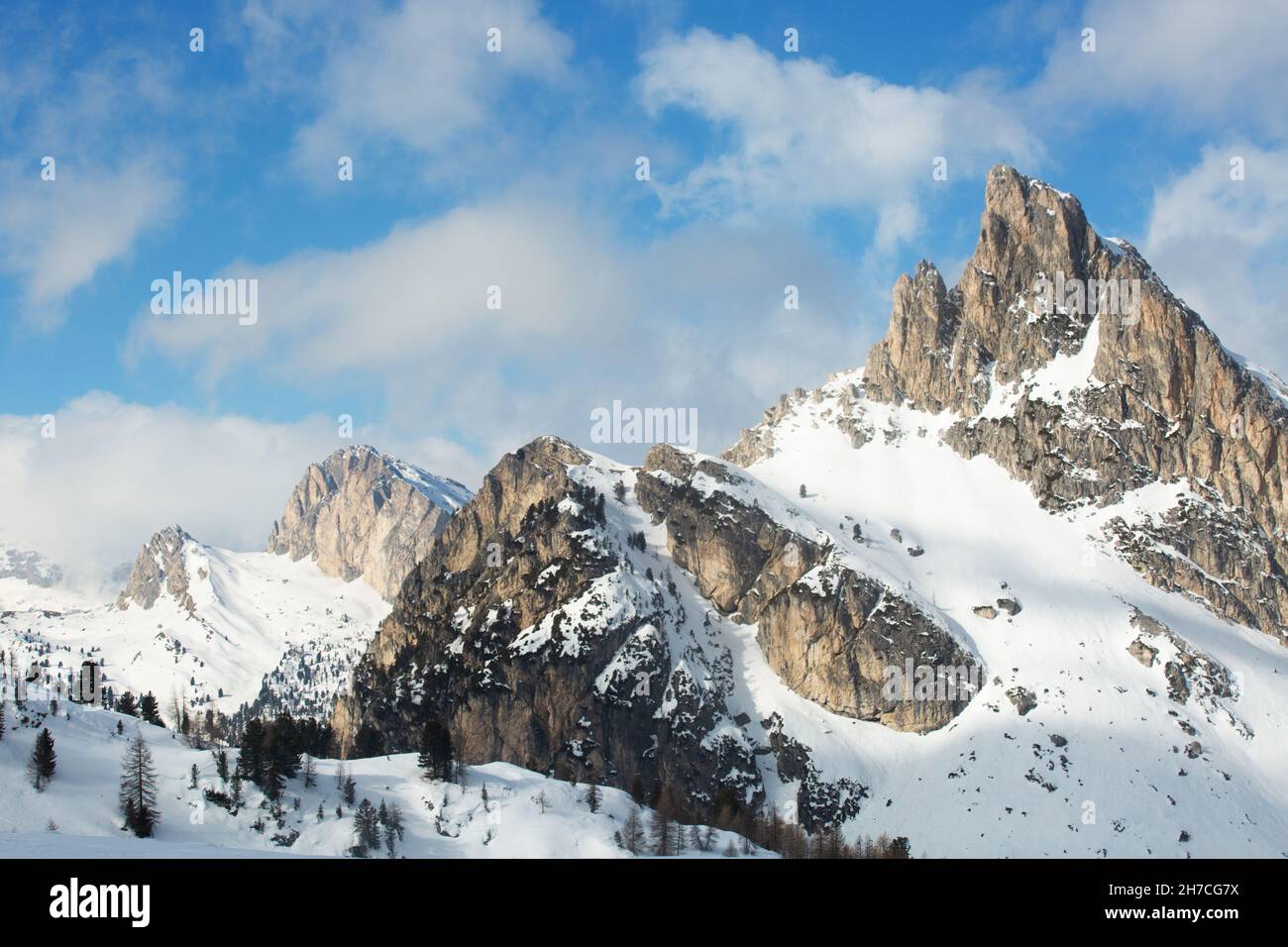 Col gallina hi-res stock photography and images - Alamy