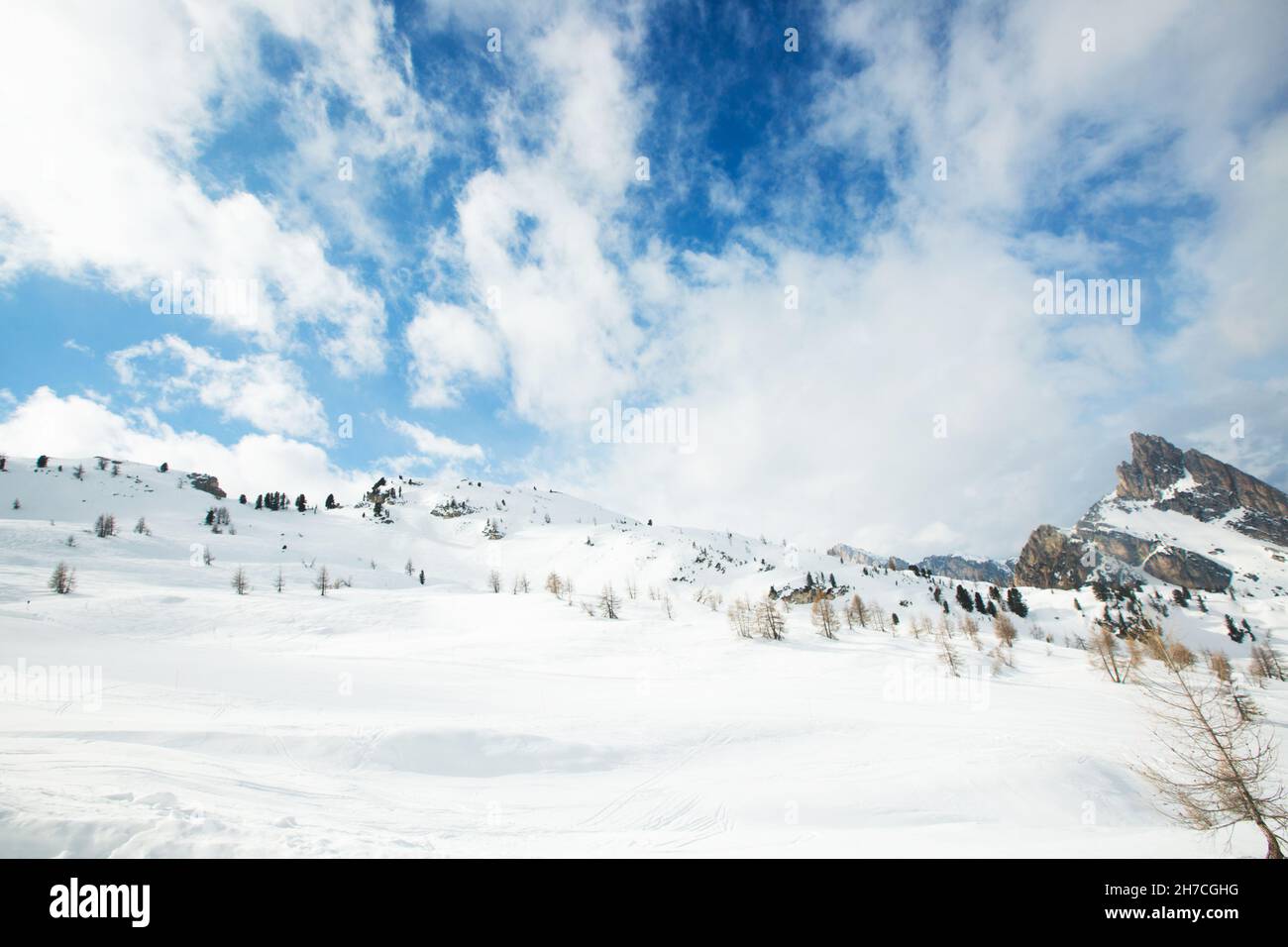 Col gallina hi-res stock photography and images - Alamy